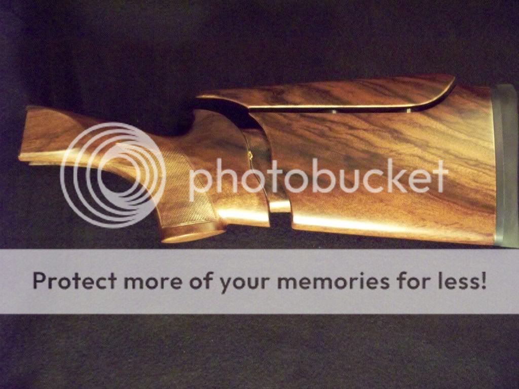 PROSOFT RECOIL SYSTEM!!!!!!!!!!!! | Trapshooters Forum