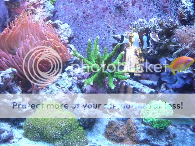 WOW--Rethinking Color and Lighting... - zeovit.com